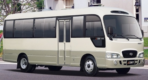 2010 Hyundai County (Long) S.Korea | Autowini